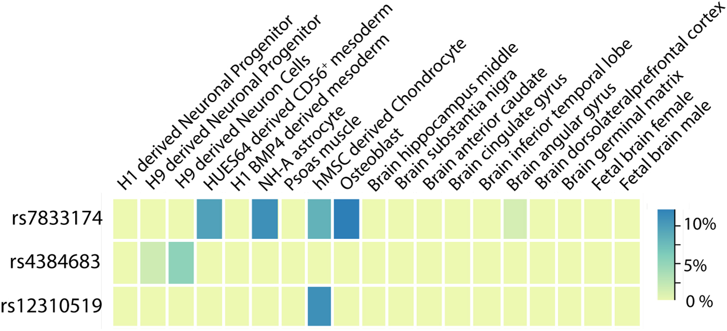 New Genetic Variants Associated with Chronic Back Pain | PolyOmica